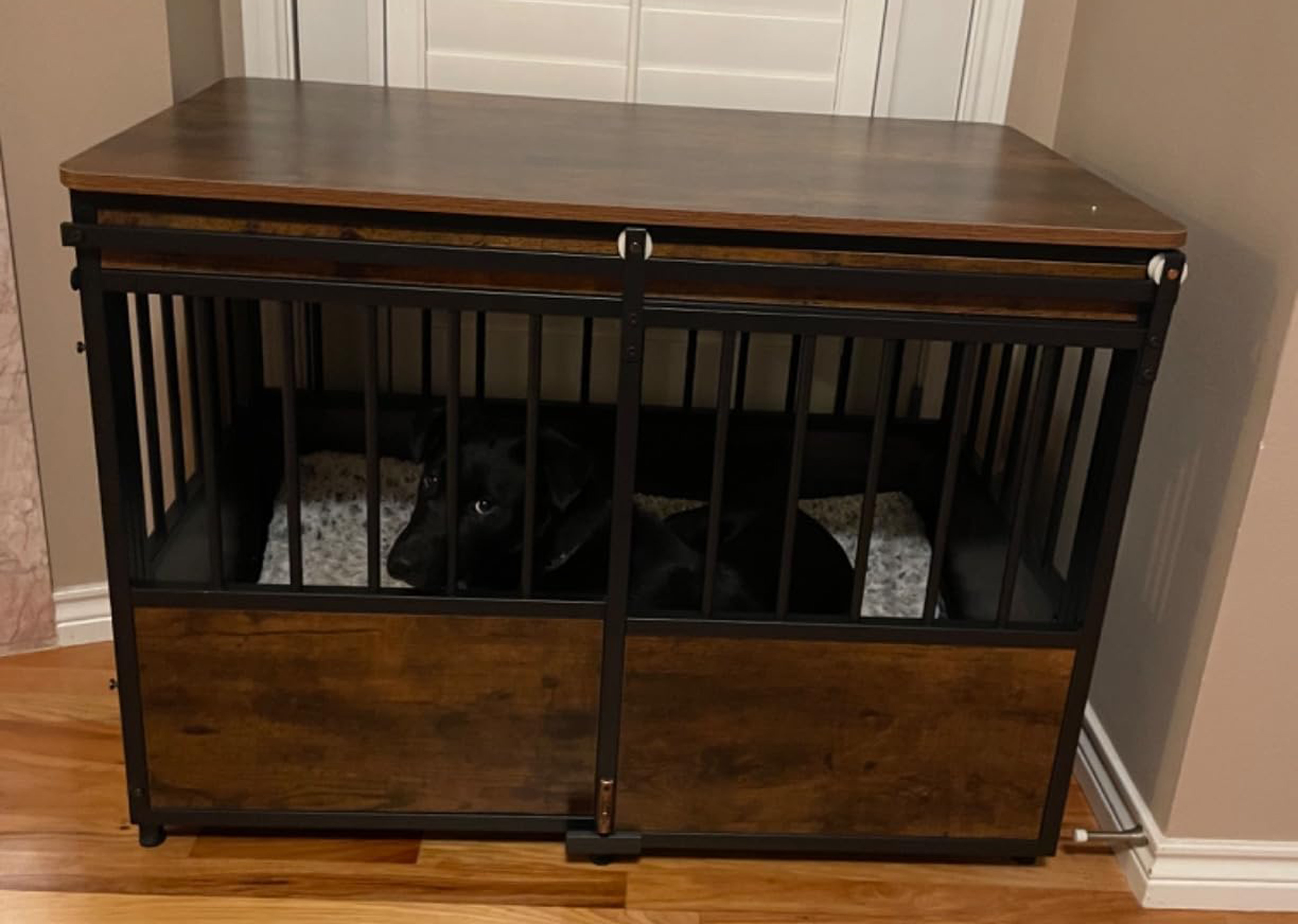 XY Dog Crate | Wayfair
