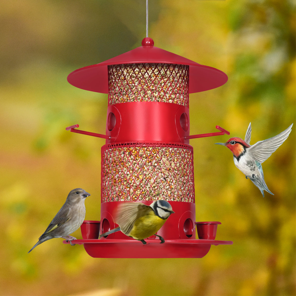 Arlmont & Co. Rithish Metal Hanging Hopper Bird Feeder & Reviews | Wayfair