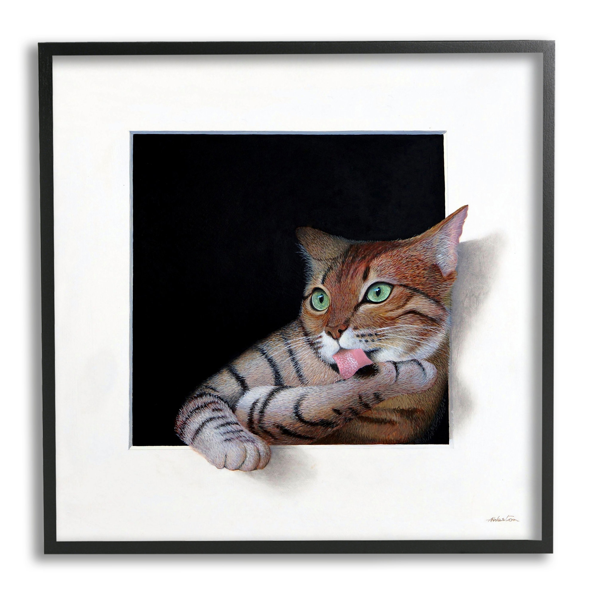 Stupell Industries Manx Cat Grooming Green Eyes Optical Illusion Giclee ...