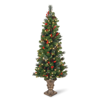 Alcott Hill® | AllModern