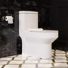 DeerValley Compact ADA Toilet with High-Efficiency Dual Flush, Comfort ...