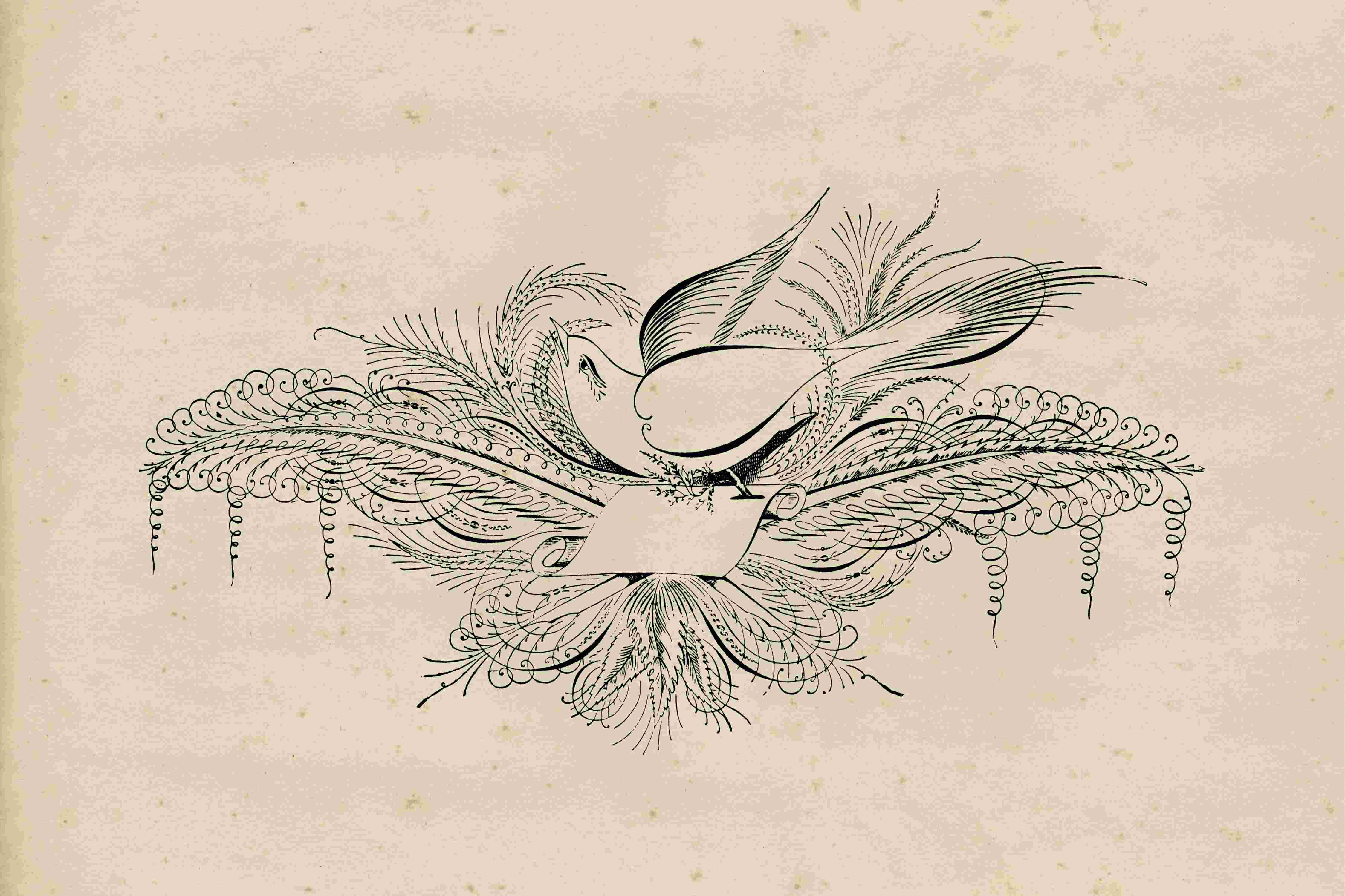 Red Barrel Studio Victorian Quill I - Wayfair Canada