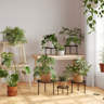 Winston Porter 5-Pack Metal Plant Stands (7.2"-11.2") - Indoor/Outdoor ...
