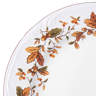 Pfaltzgraff Autumn Berry 16-Piece Stoneware Dinnerware Set, Service for ...