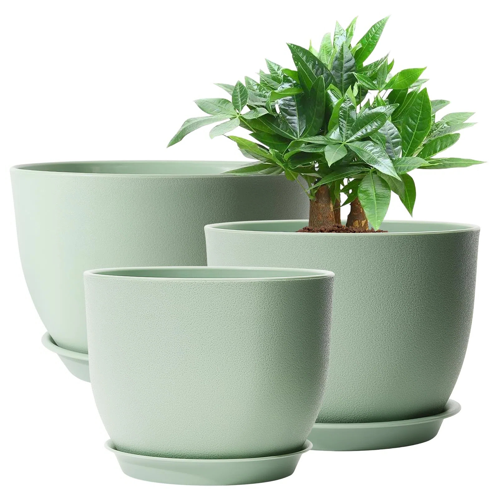 Latitude Run® Jamyr Pot Planter | Wayfair