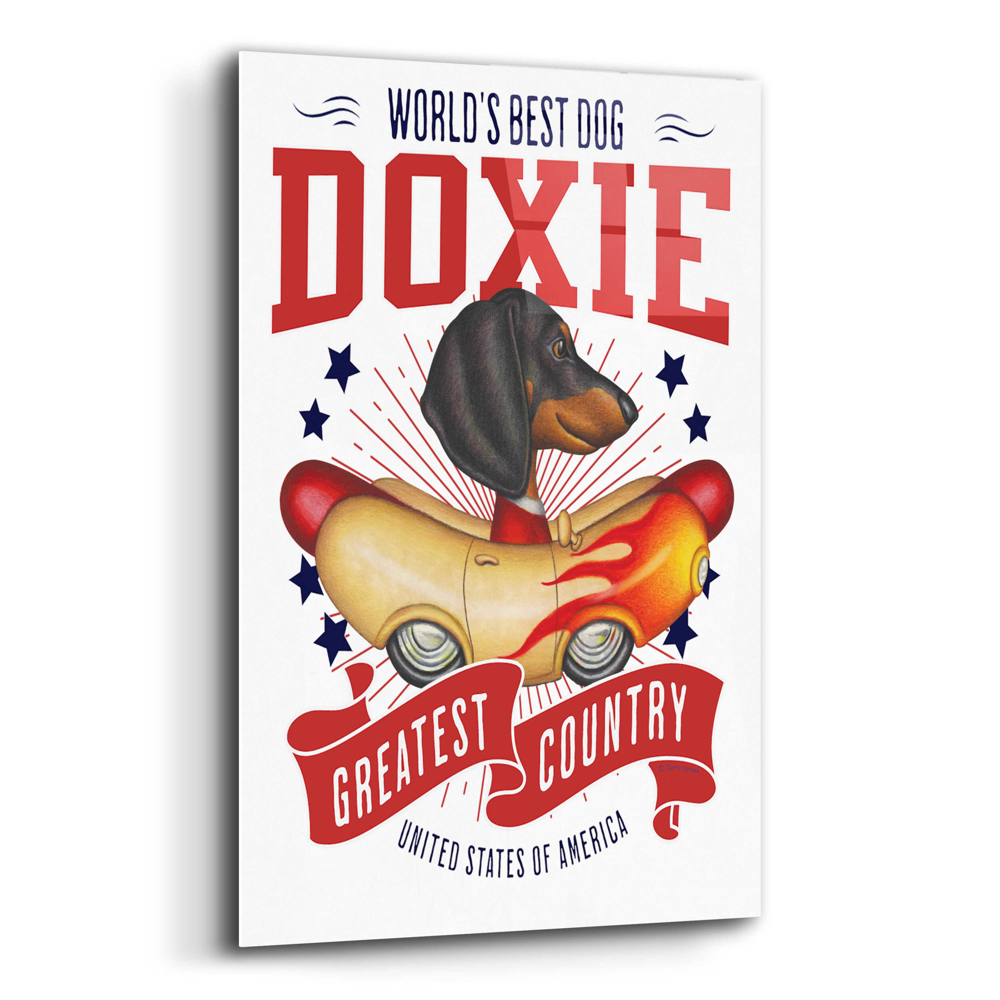 Trinx 'Danny USA' By Danny Gordon Art, Acrylic Glass Wall Art - Wayfair ...