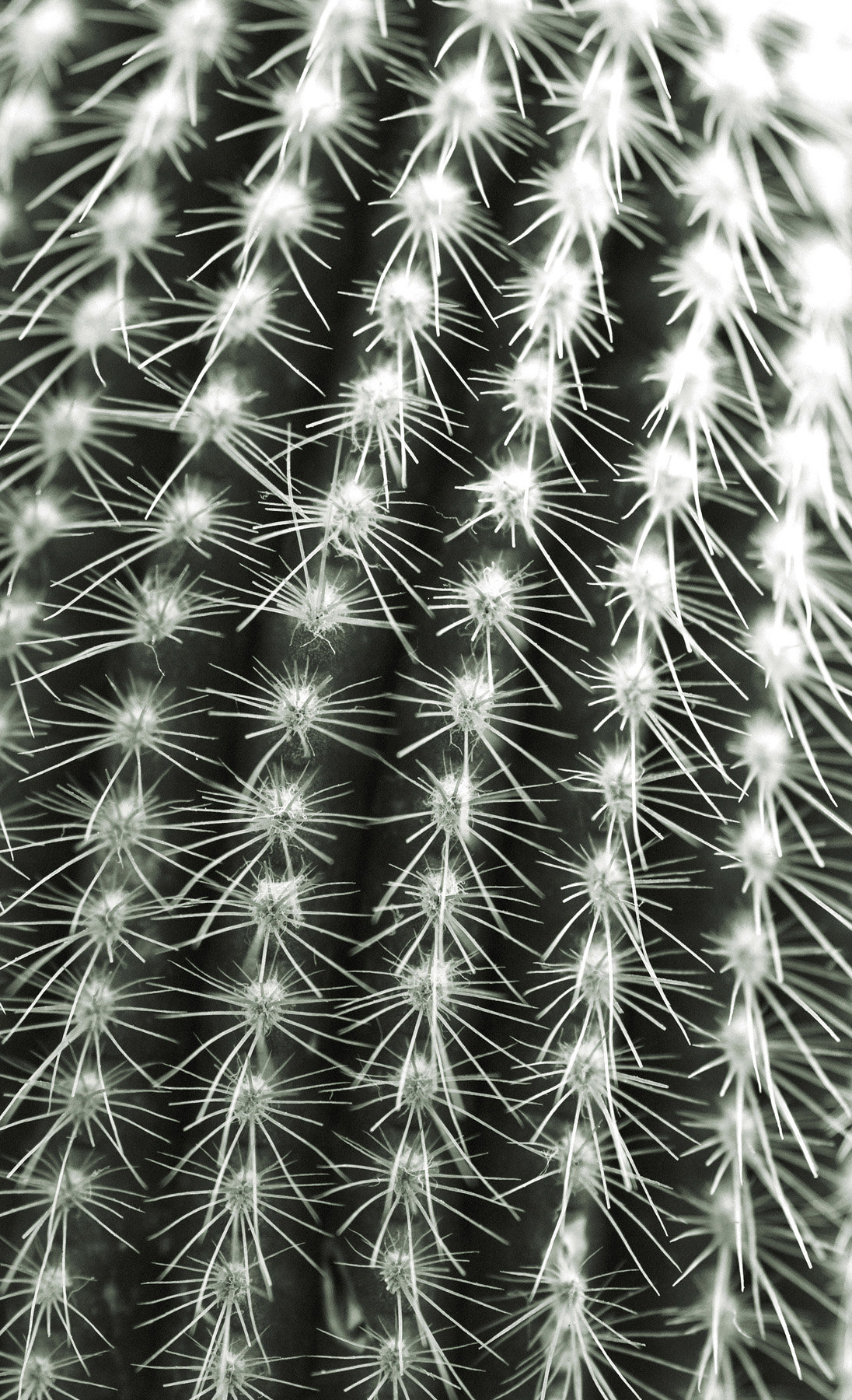 Wendover Art Group Silver Spikes Grand 1 - Wayfair Canada