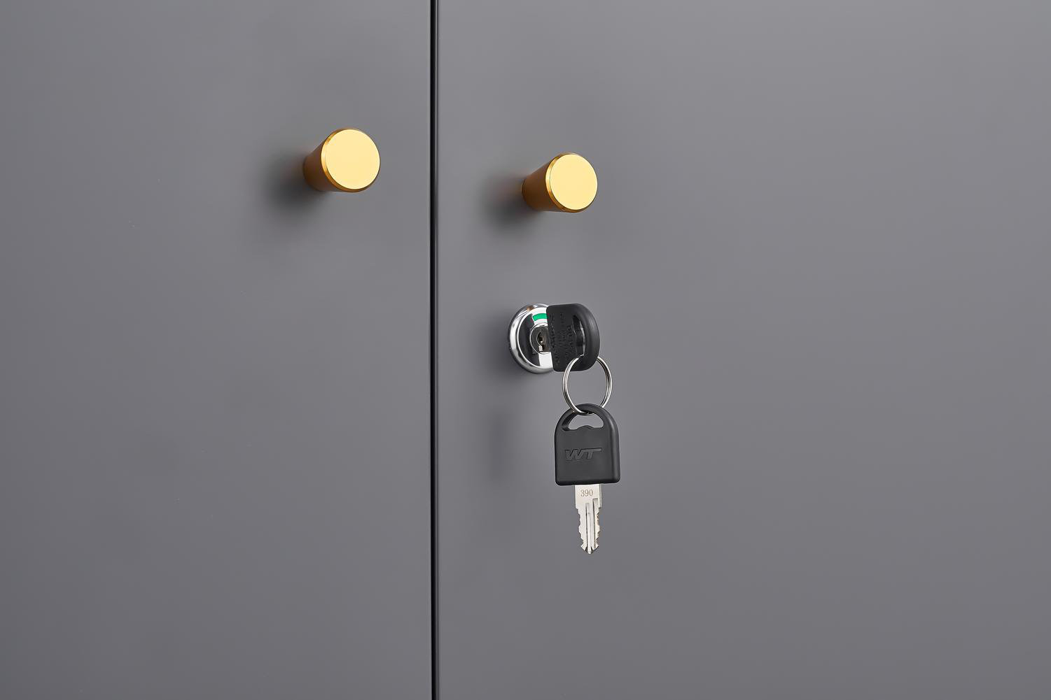 Ebern Designs Vertical Tool Cabinet (Gray) | Wayfair