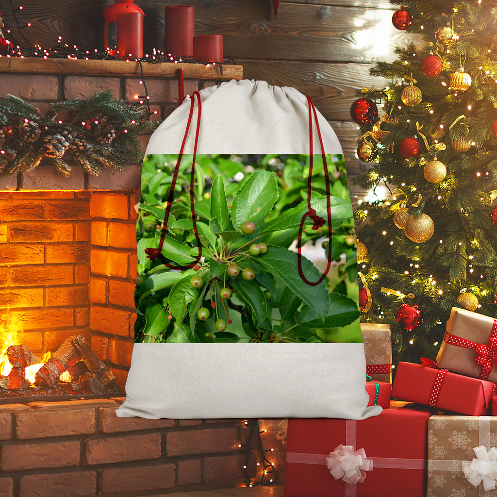 East Urban Home Pexels 5 Sublimation Linen Drawstring Sack | Wayfair