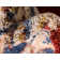 Langley Street Edens Oriental Rug & Reviews | Wayfair