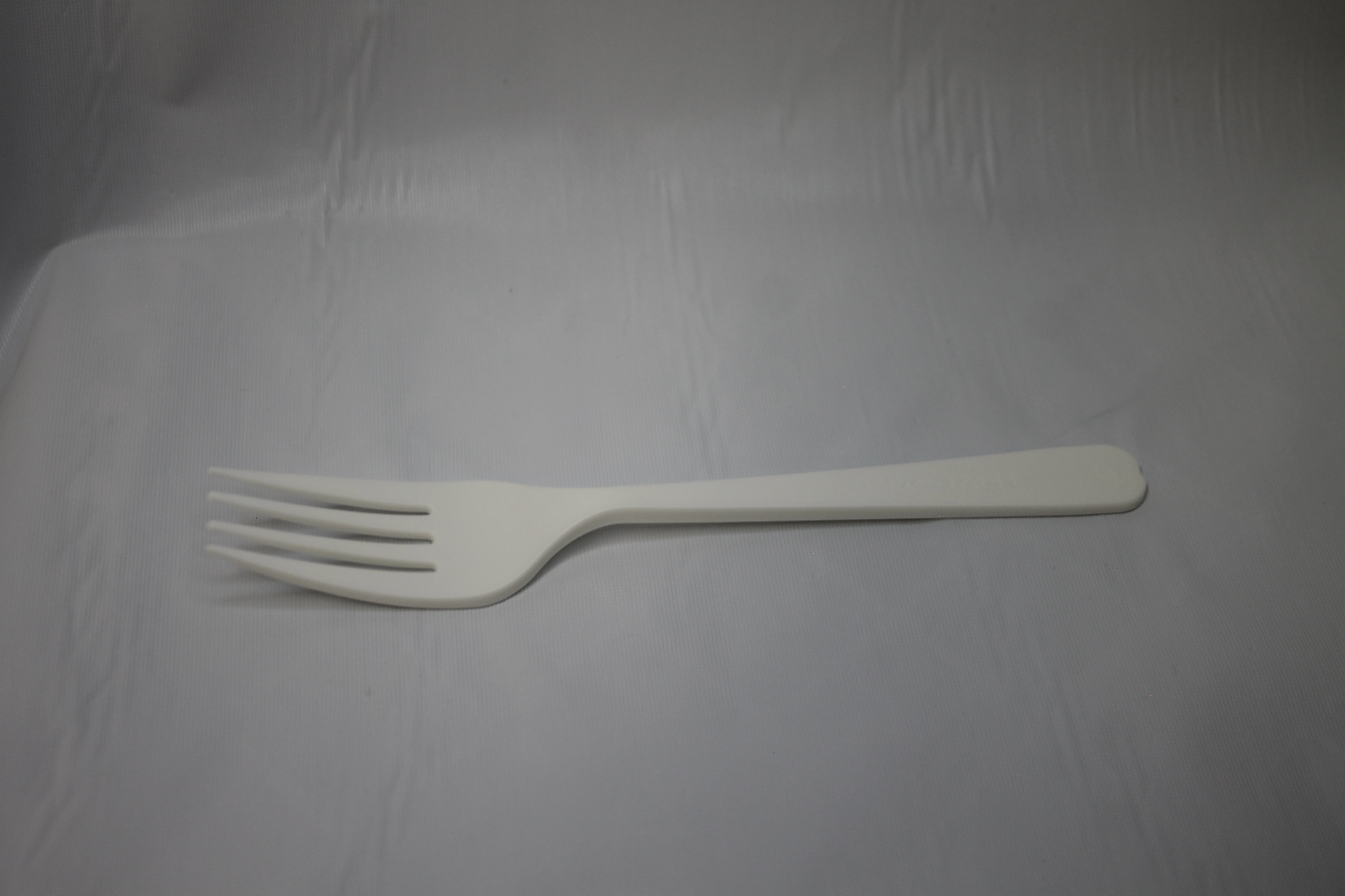 Earth-to-Go™ Compostable Fork | Wayfair