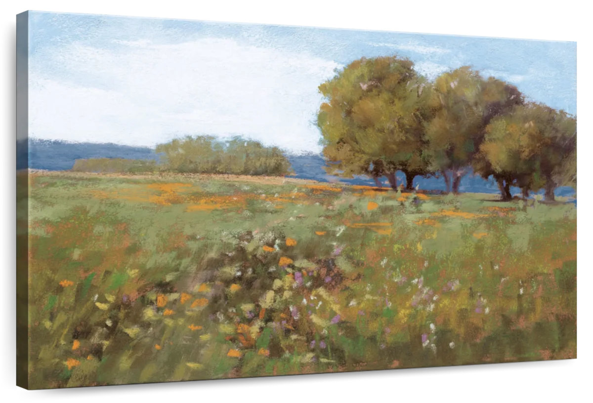 Millwood Pines Alvord Spring Day Meadow - Wayfair Canada