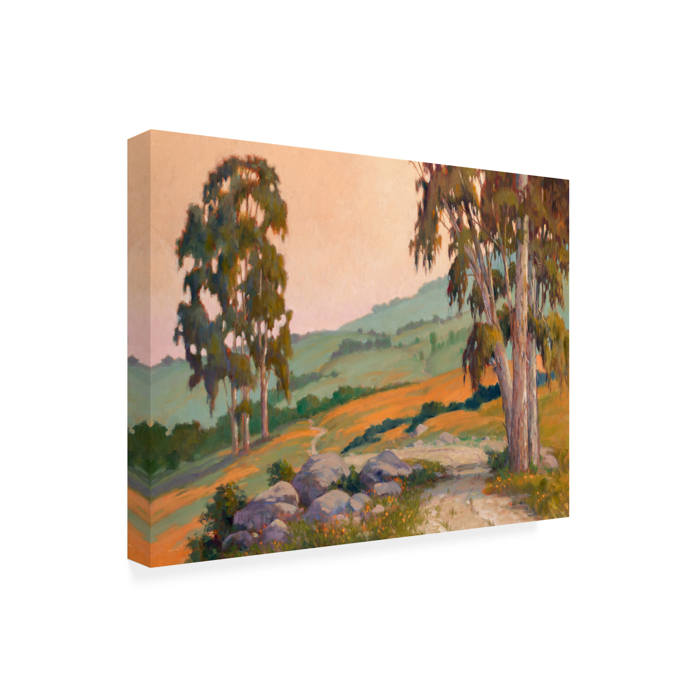 Winston Porter Ed Penniman Poppy Hill Path Canvas Art - Wayfair Canada