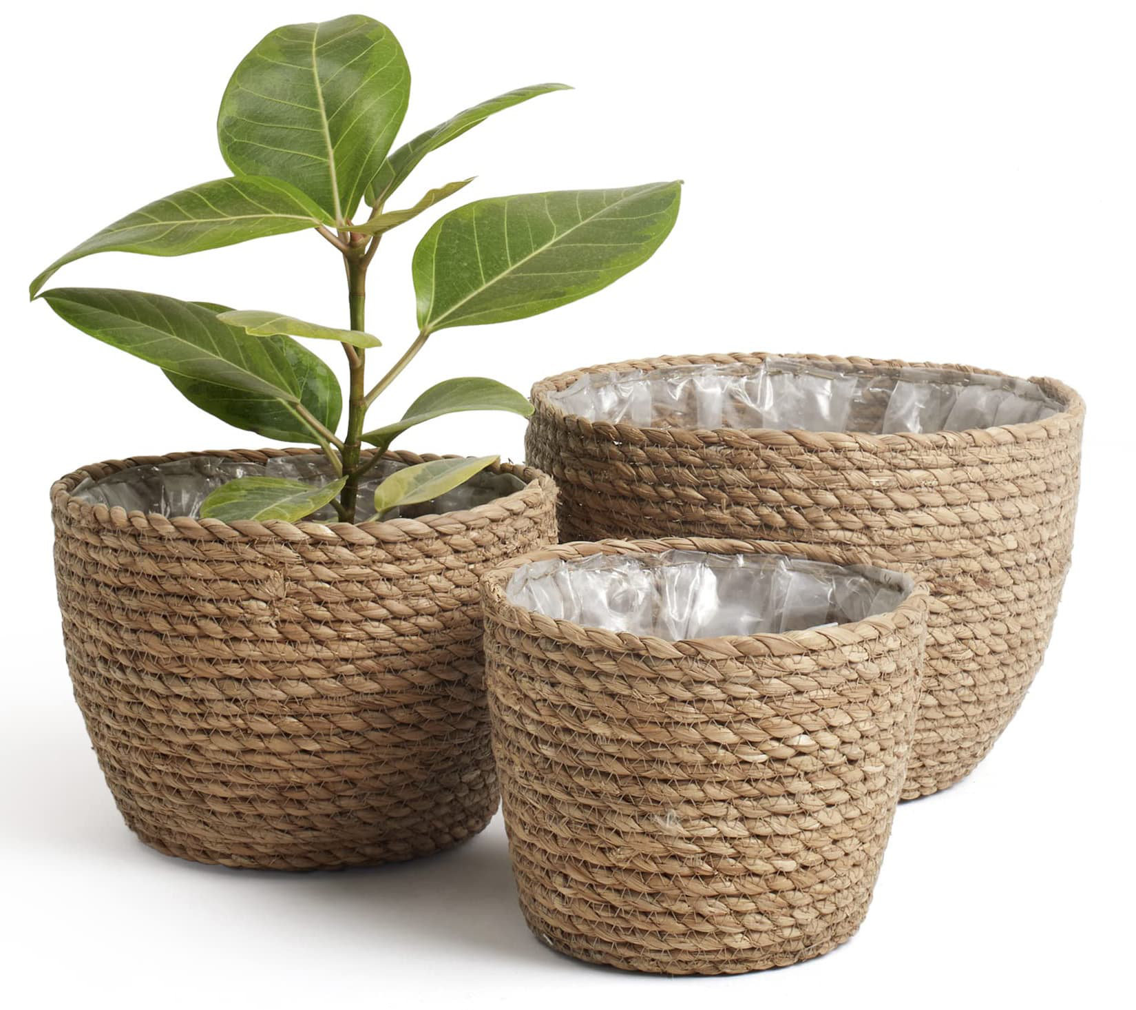 Bay Isle Home Meinolf Pot Planter | Wayfair