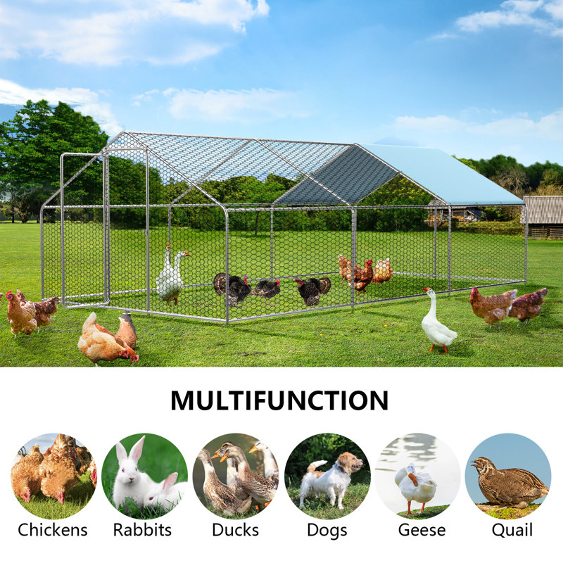 Tucker Murphy Pet™ Dayson Metal Chicken Run Coop, Walk-in Poultry Cage ...