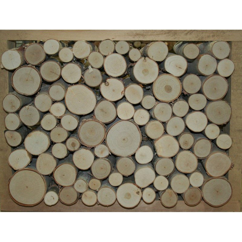 Millwood Pines Wilson Birch Fill a Space Logs Wall Décor & Reviews ...