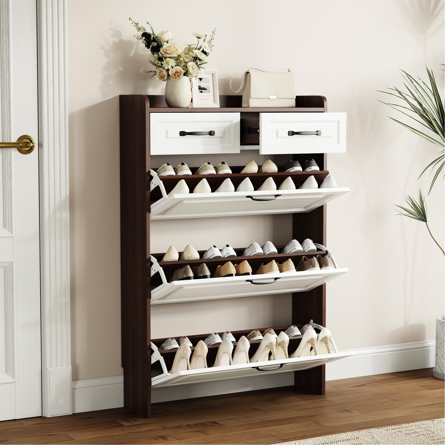 CaneCreations Walnut Colored Entrance Shoe Cabinet With 2 Drawers And 3 ...