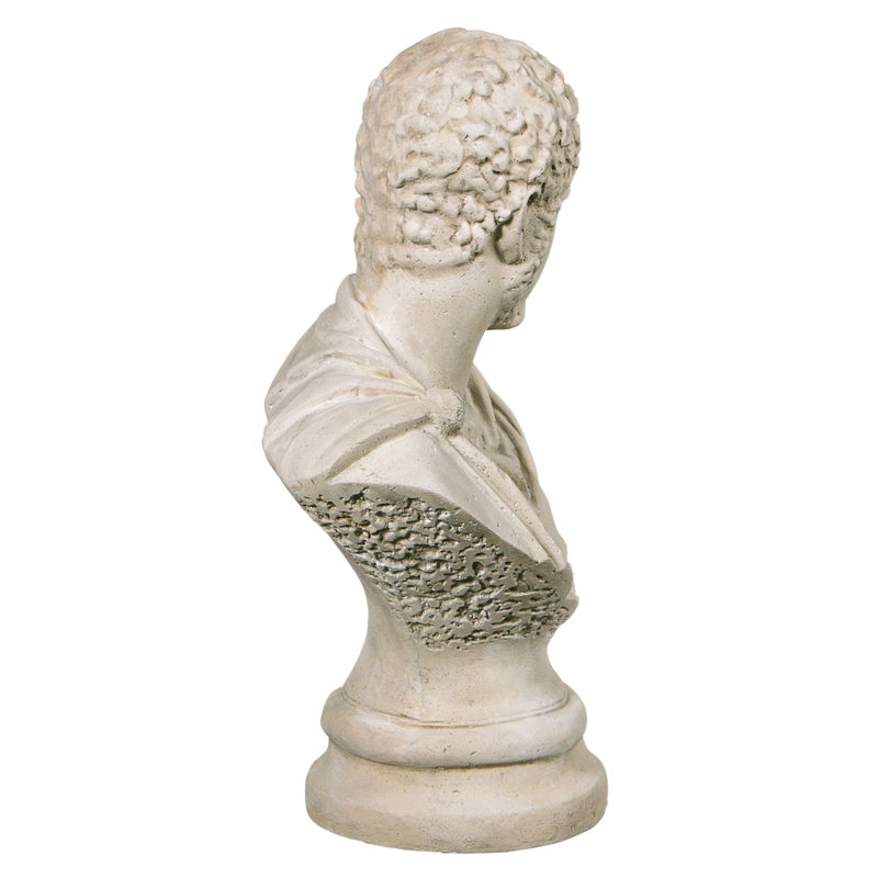 Design Toscano Caracalla Roman Emperor Marcus Aurelius Bust & Reviews ...