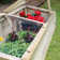 Dakota Fields Deerfield 1.7m W x 0.5m D Cold Frame Greenhouse & Reviews ...