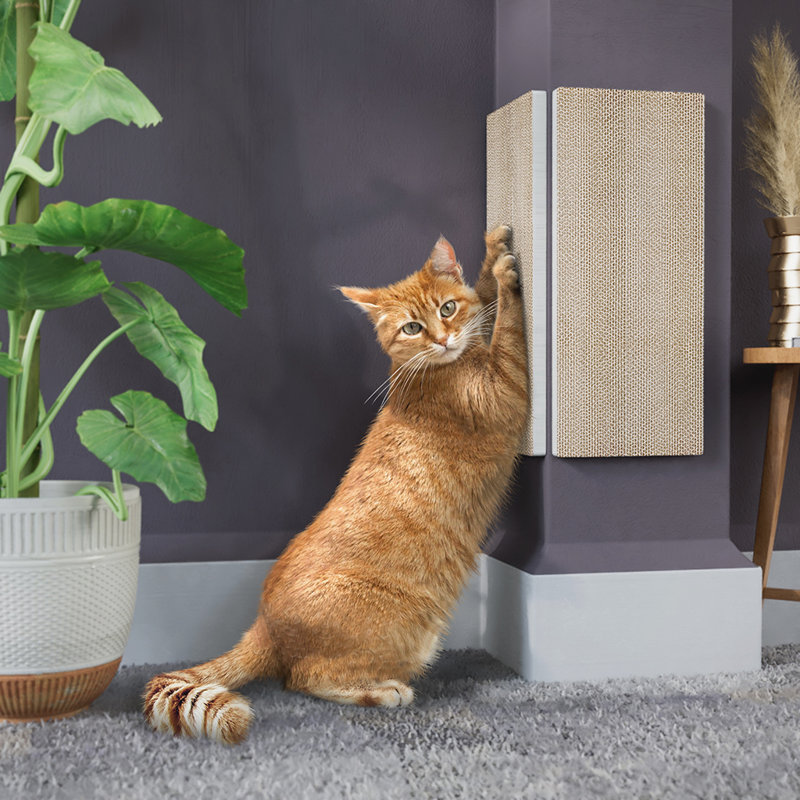 Tucker Murphy Pet™ Calisha Scratching Board | Wayfair