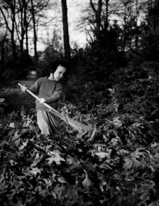 Latitude Run® Boy Raking Leaves Poster Print (24 X 36) | Wayfair