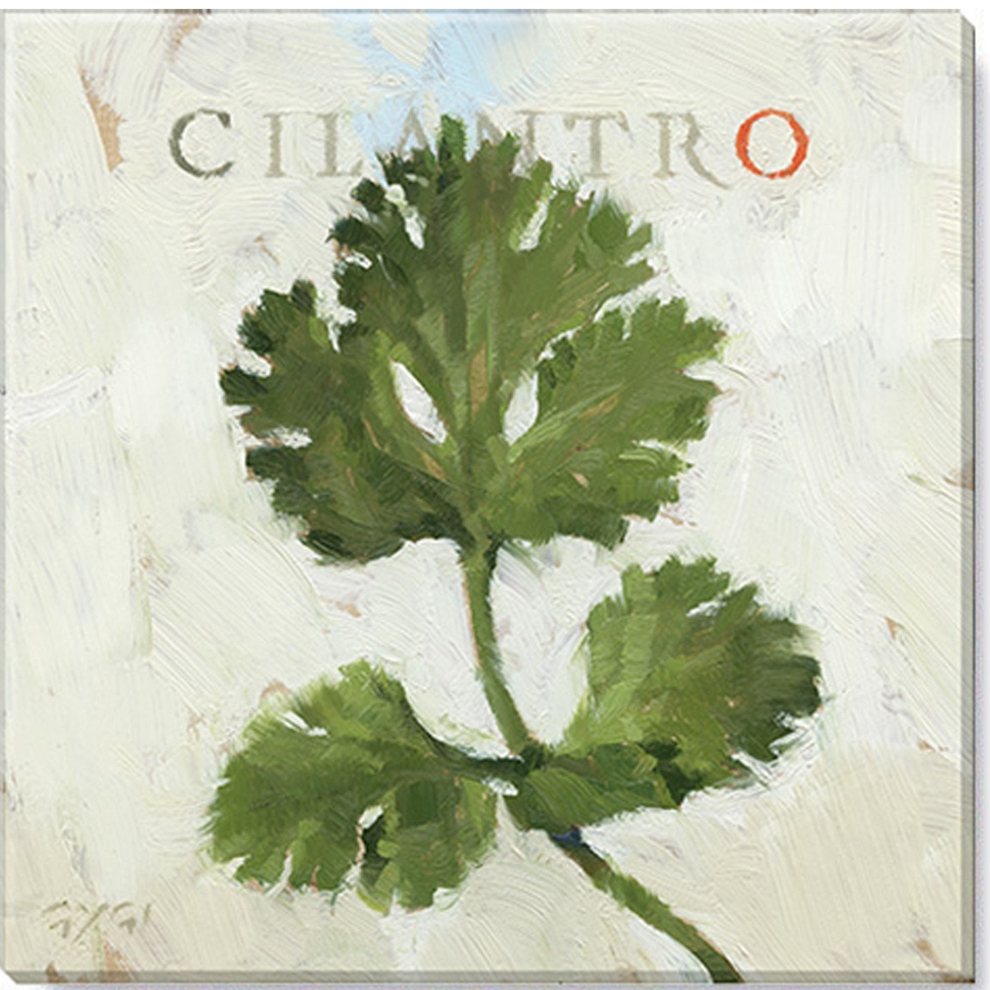Darren Gygi Home Collection Cilantro Giclee Wall Art | Wayfair