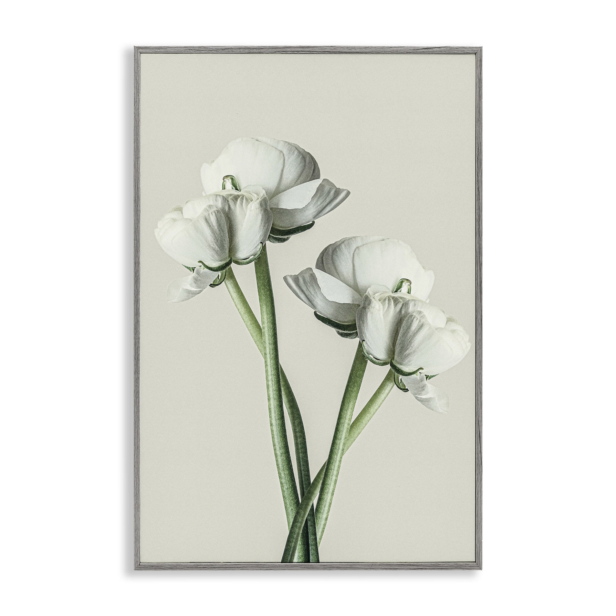Stupell Industries White Flower Bundle Giclee Art by Incado bg-203 ...