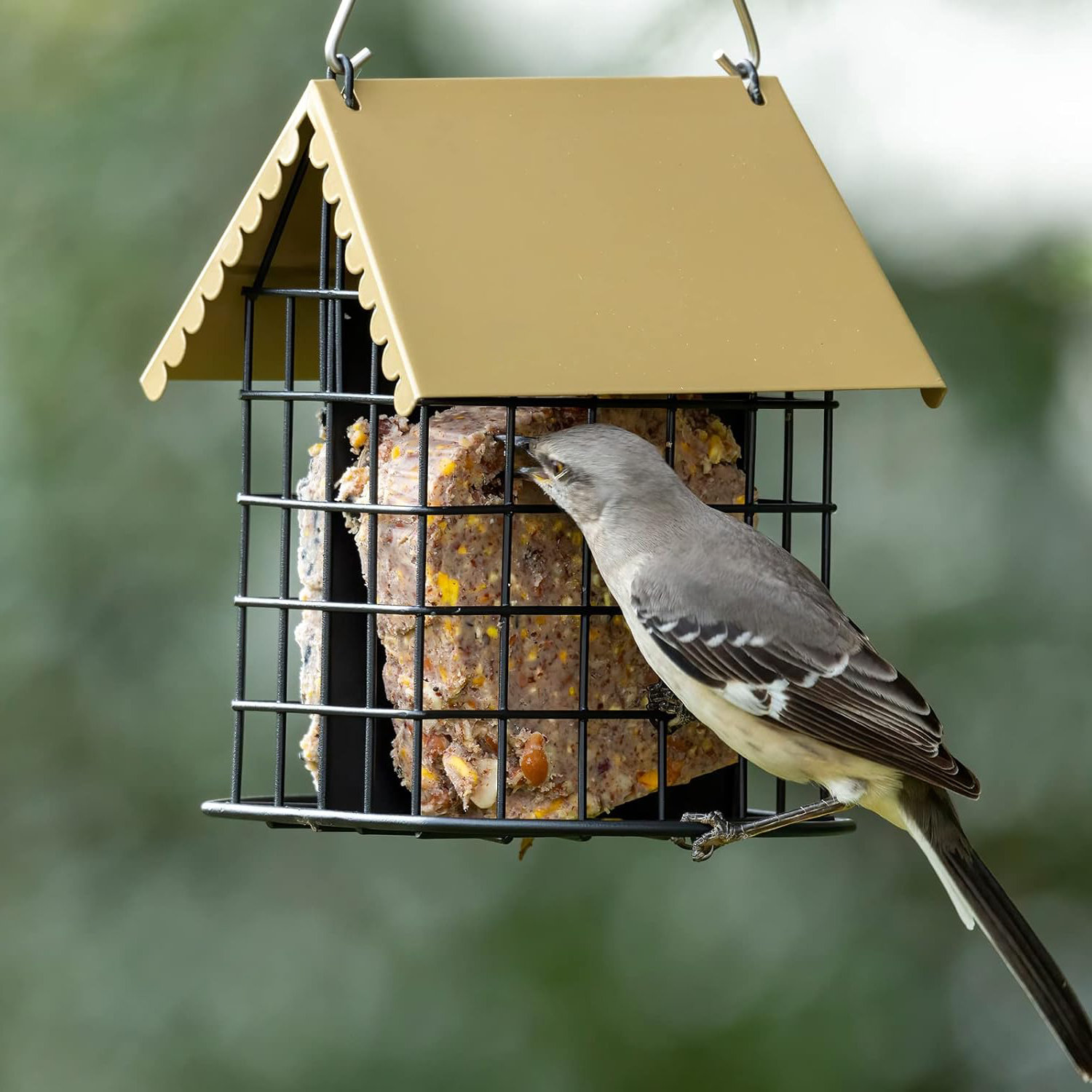 Arlmont & Co. Metal Suet Cakes Cage Bird Feeder with Weatherproof Roof ...