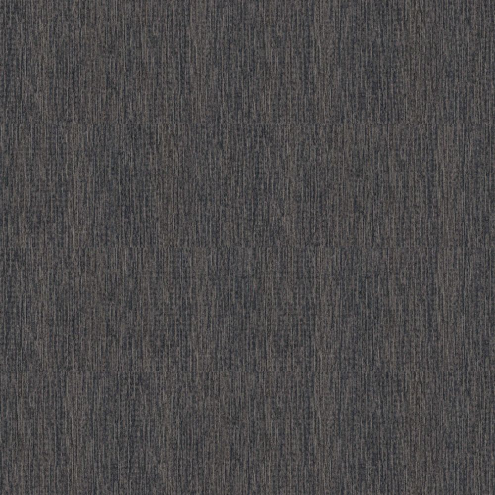 Shaw Floors Explorer 24-in x 24-in Multi-Level Loop Adhesive Carpet ...