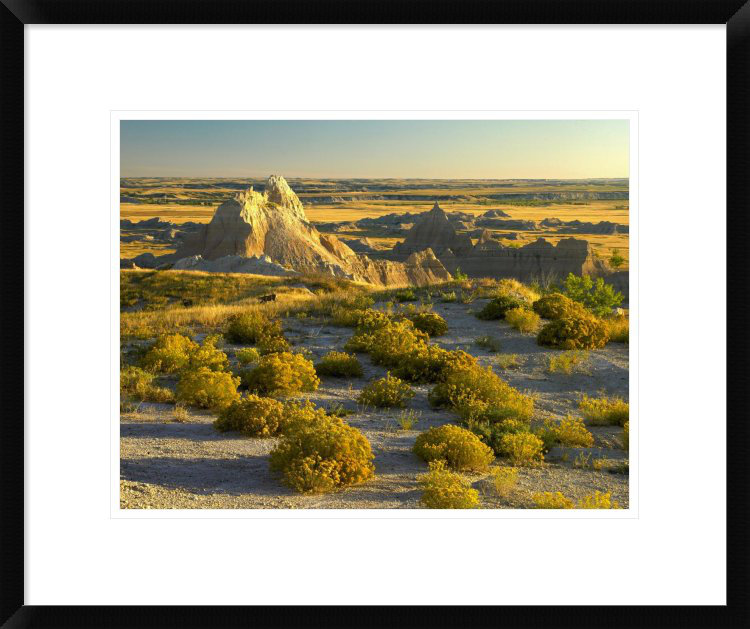 Global Gallery 'Coyote Bush and Eroded Features Bordering Grasslands ...