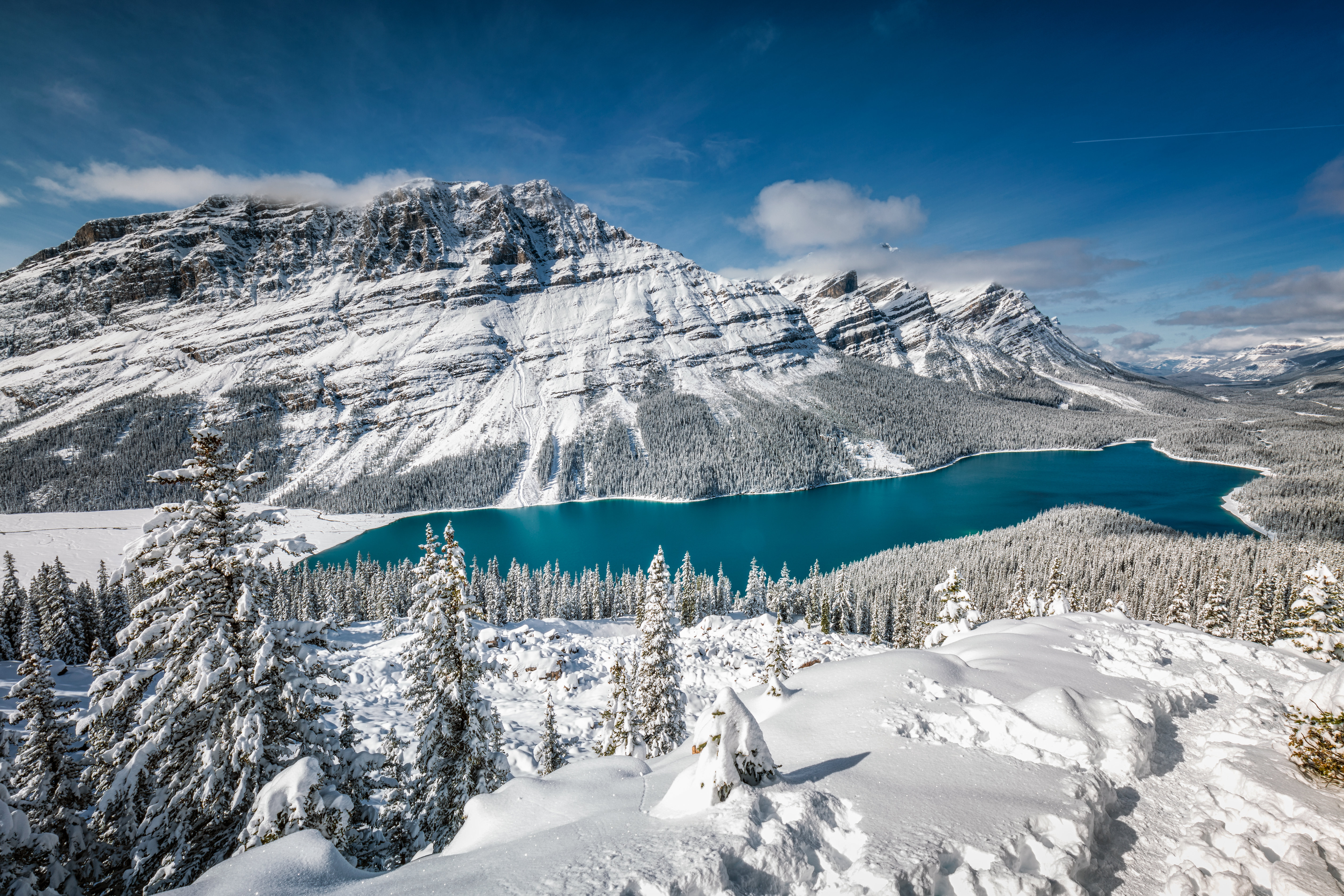 Millwood Pines Banff National Park - Wrapped Canvas Photograph | Wayfair