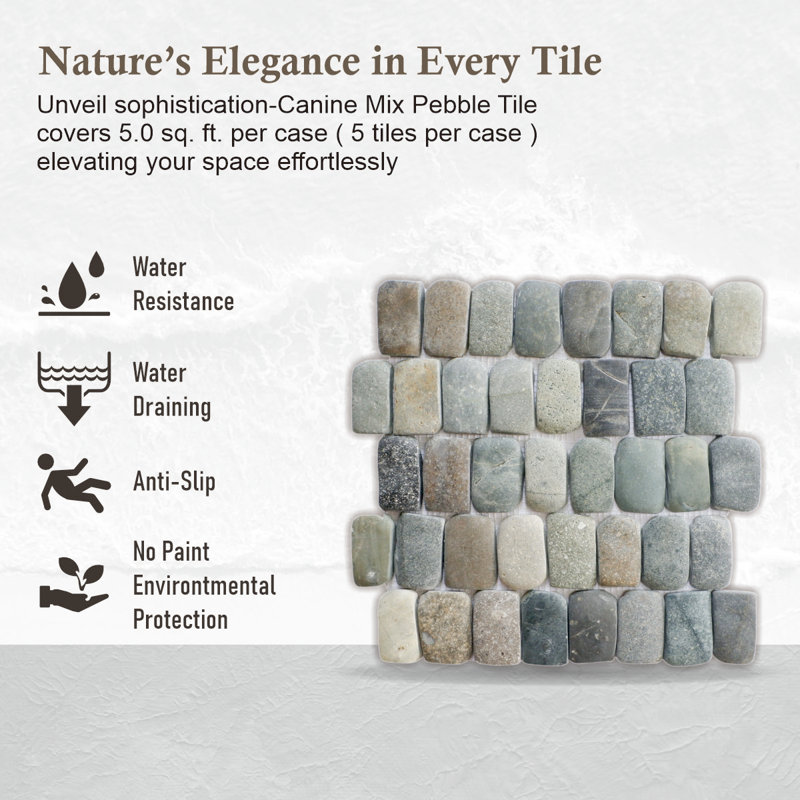 b.o.i Florida 12" x 12" Natural Stone Random Pebble Mosaic Wall Tile ...