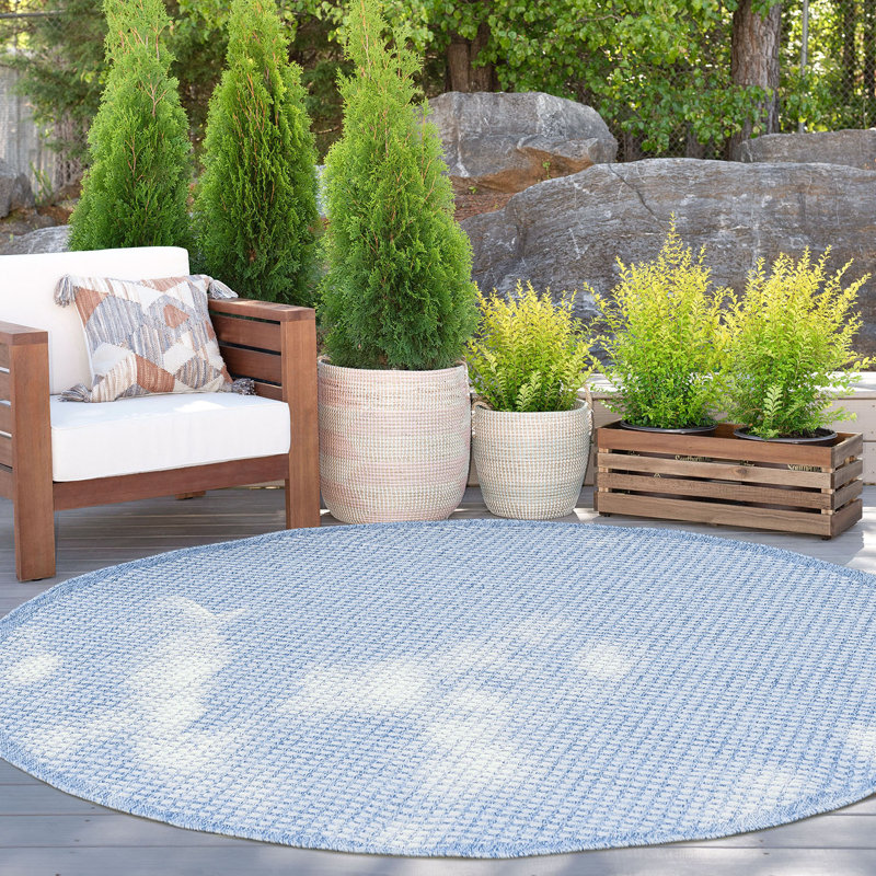 Sol 72 Outdoor™ Abigayle Rug & Reviews | Wayfair