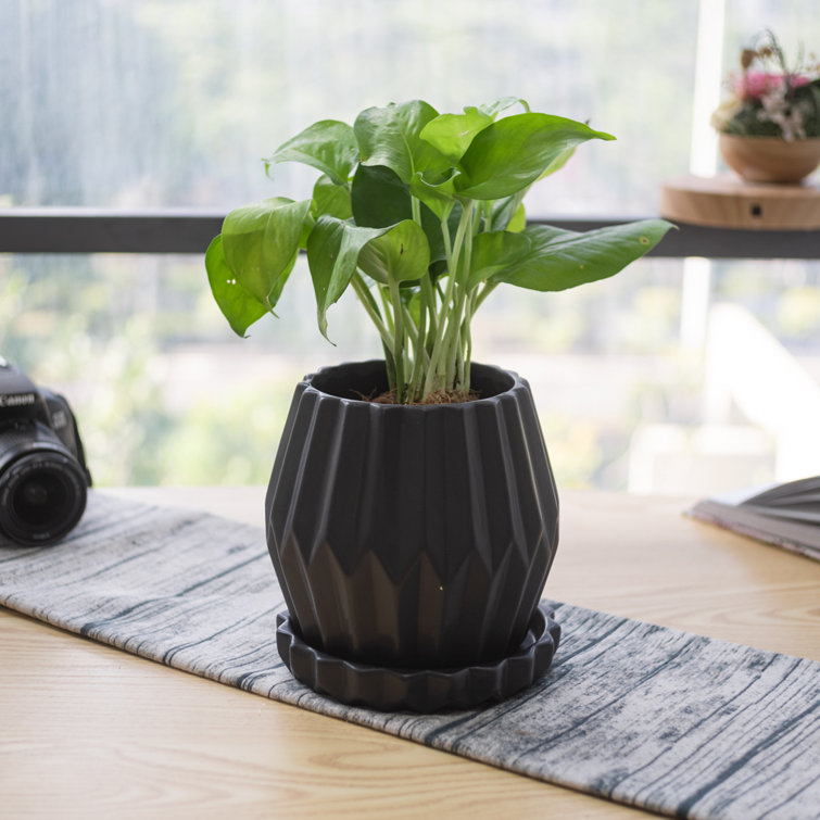 KRALIX Ceramic Pot Planter - Wayfair Canada