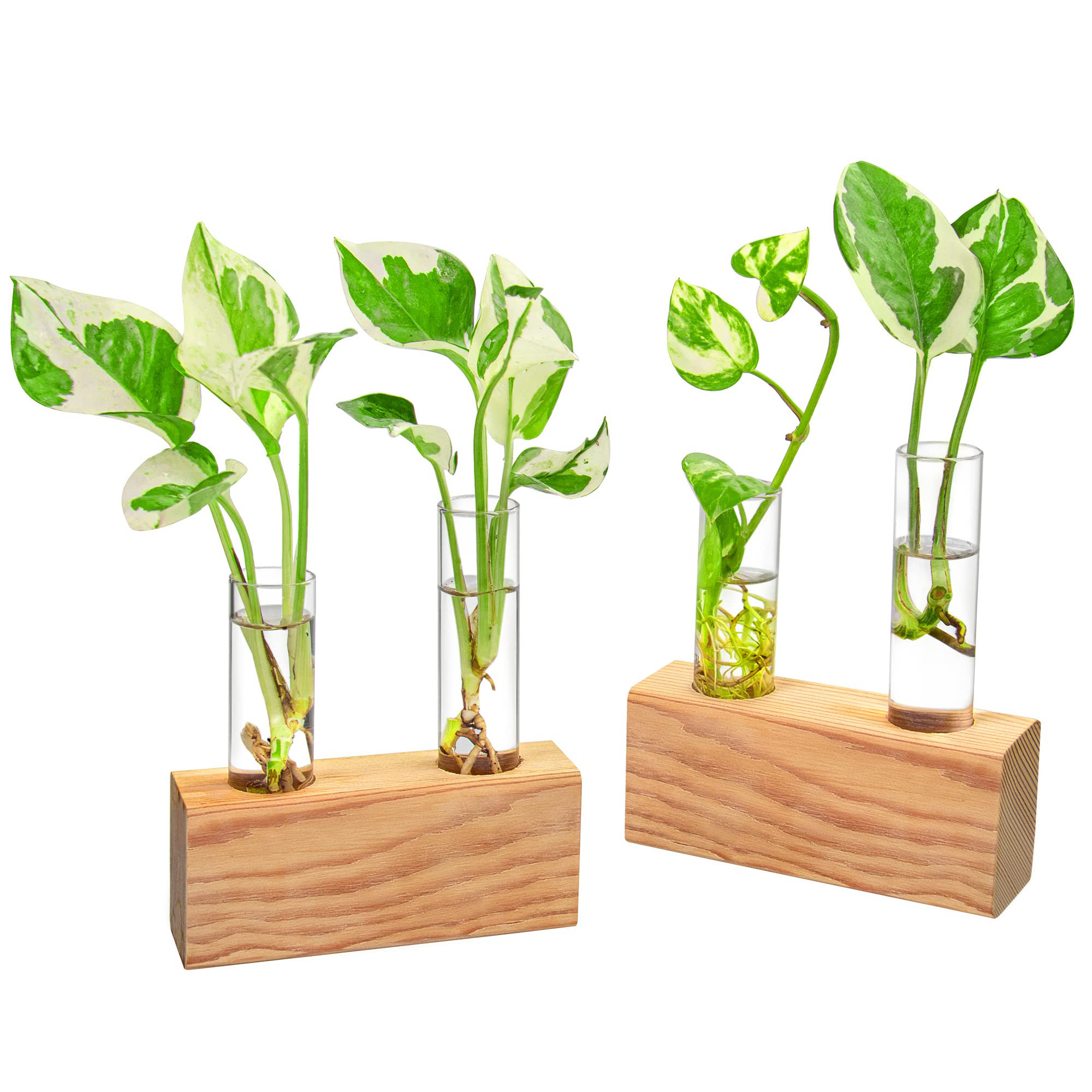 George Oliver Propagation Stations Double Test Tube Plants Terrariums ...