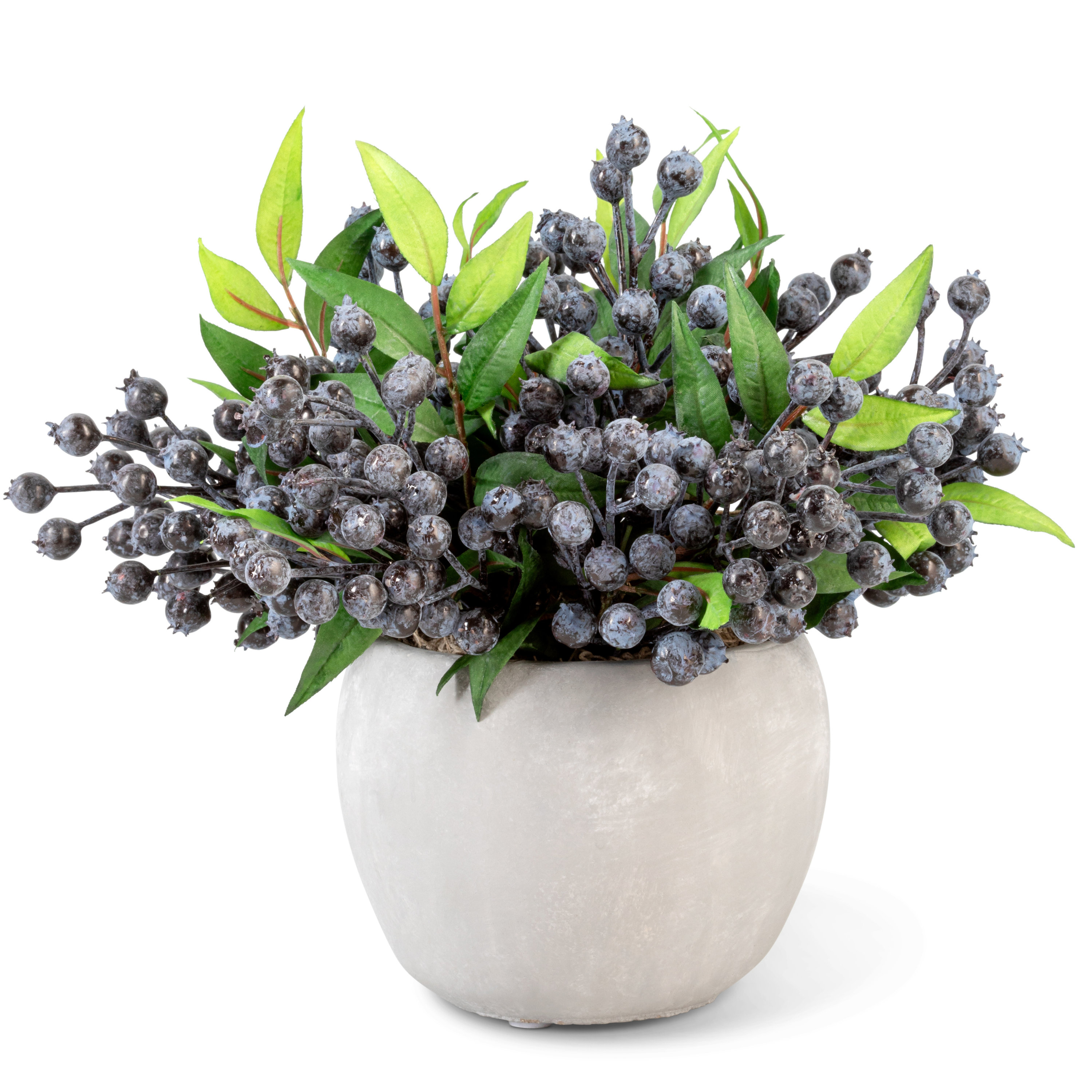 CocoBella By vessel Jemma Blueberry Arrangement in Cement Pot | Wayfair