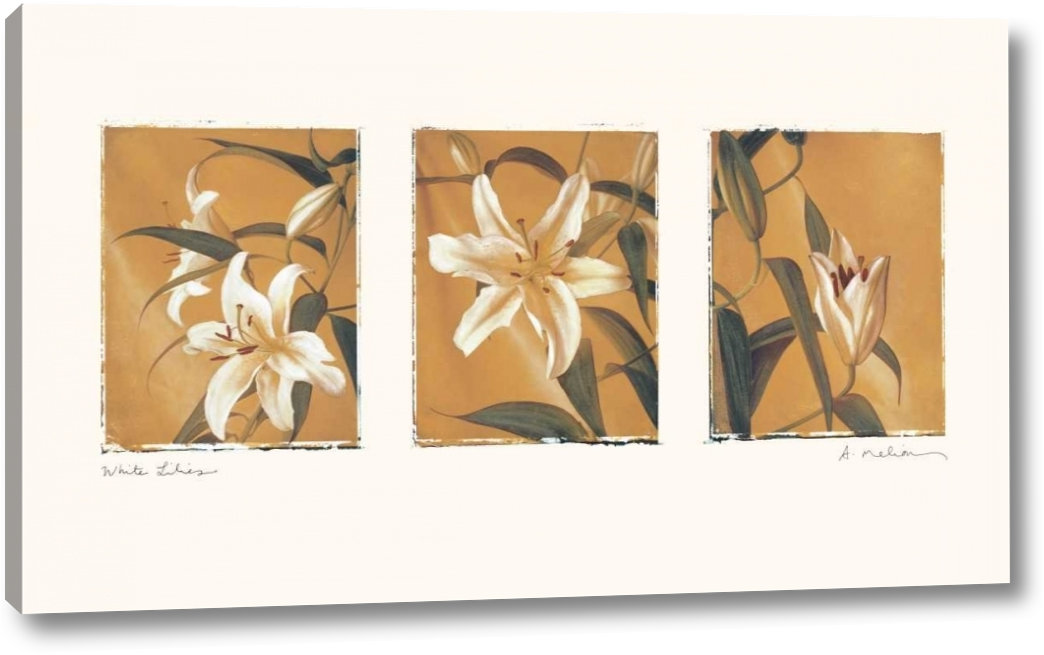 World Menagerie 'White Lilies' by Amy Melious Giclee Art Print on ...