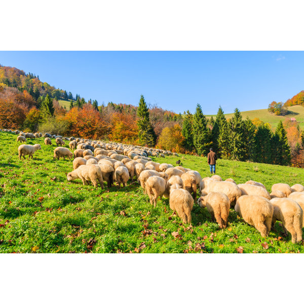 Loon Peak® Jackie Flock Of Sheep On Canvas Print | Wayfair