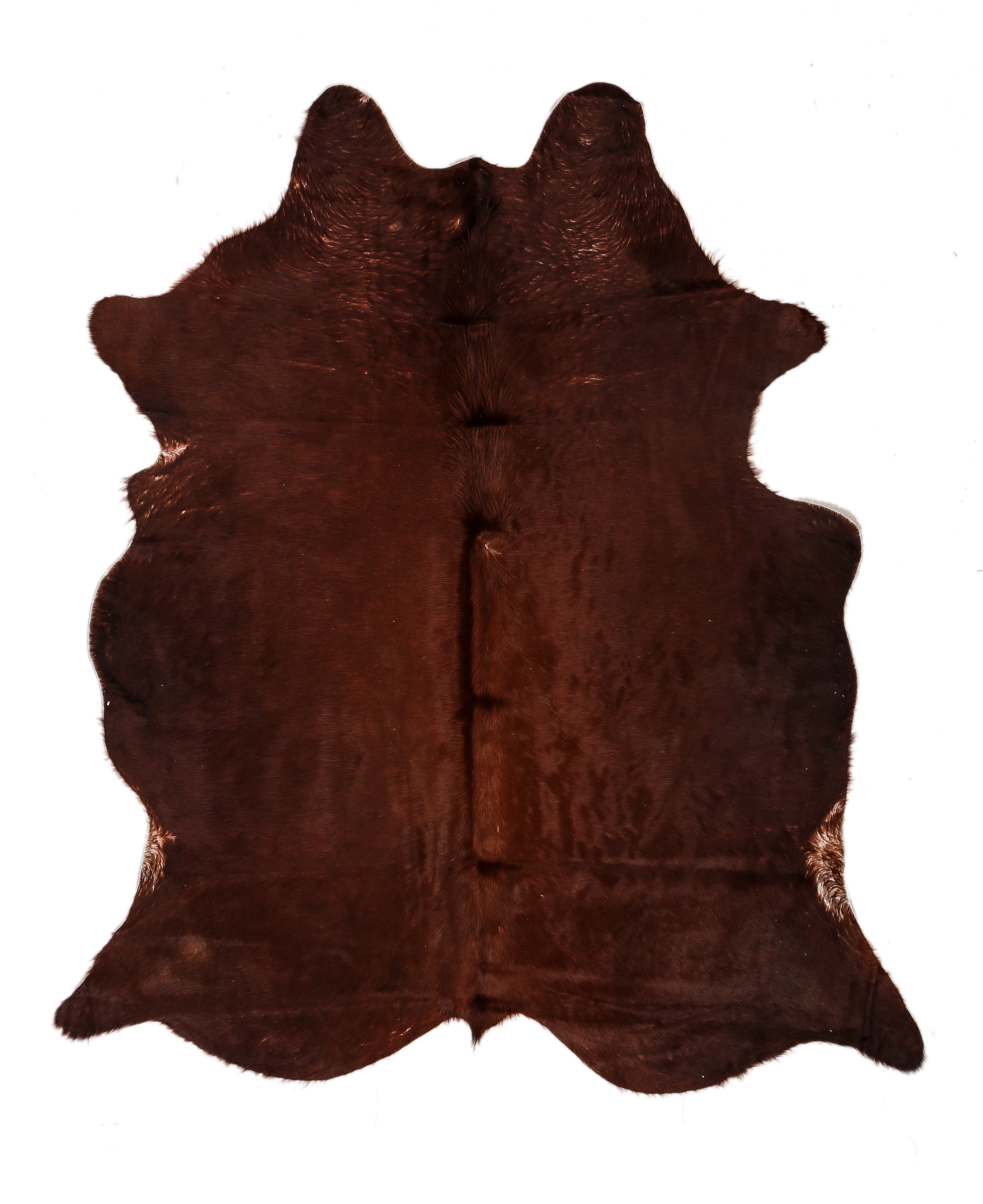 Union Rustic Myrtletown 2 X 1.75 Area Rug | Wayfair.co.uk