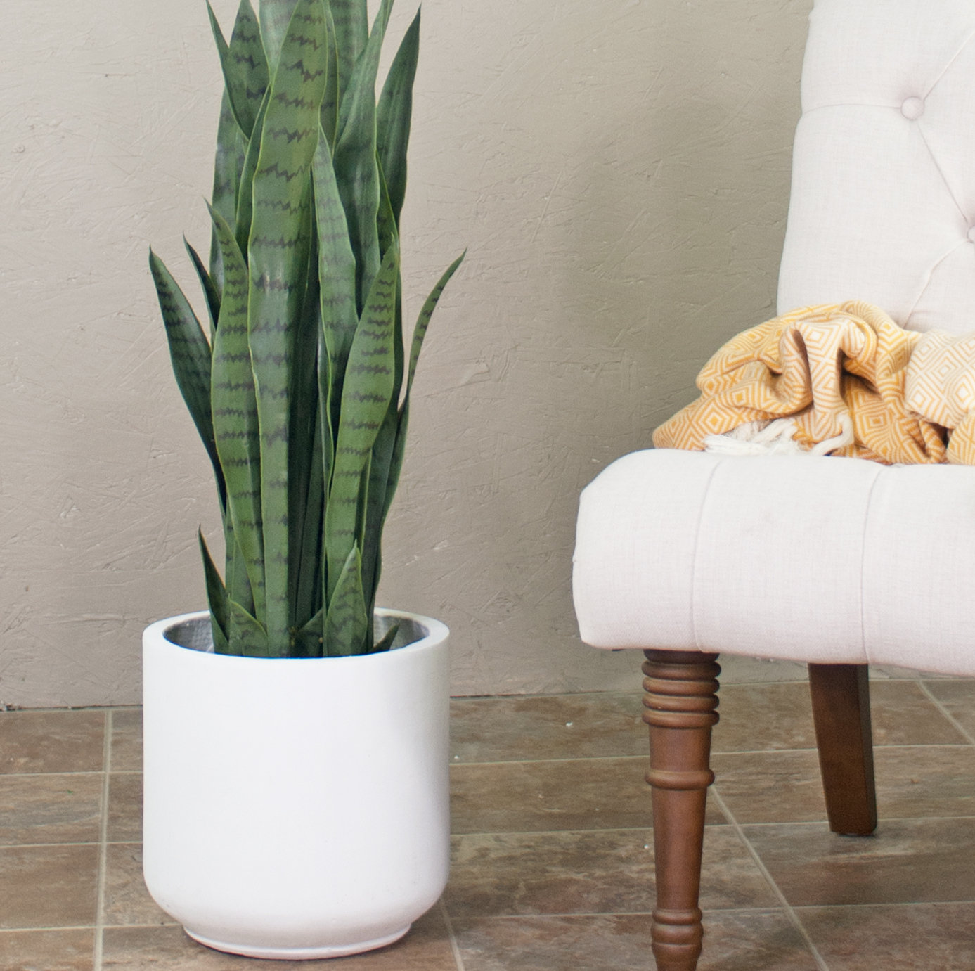 AllModern Metz Fibre Clay Pot Planter & Reviews - Wayfair Canada