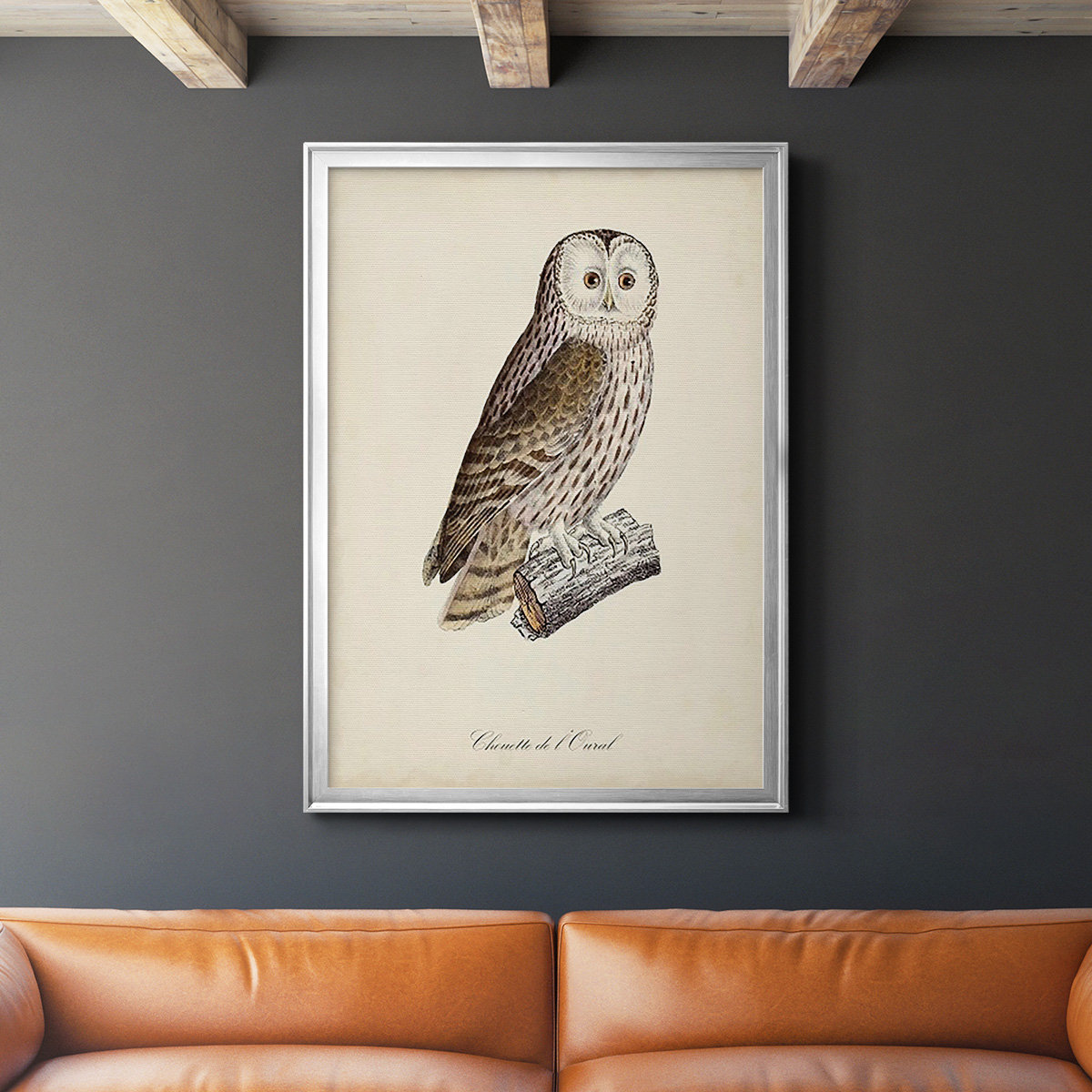 Loon Peak® French Owls V Framed On Paper Print | Wayfair