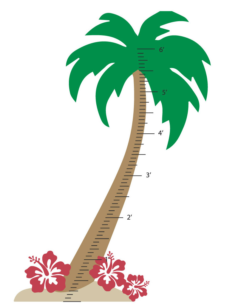 The Decal Guru Palm Tree Growth Chart Wall Decal - Wayfair Canada