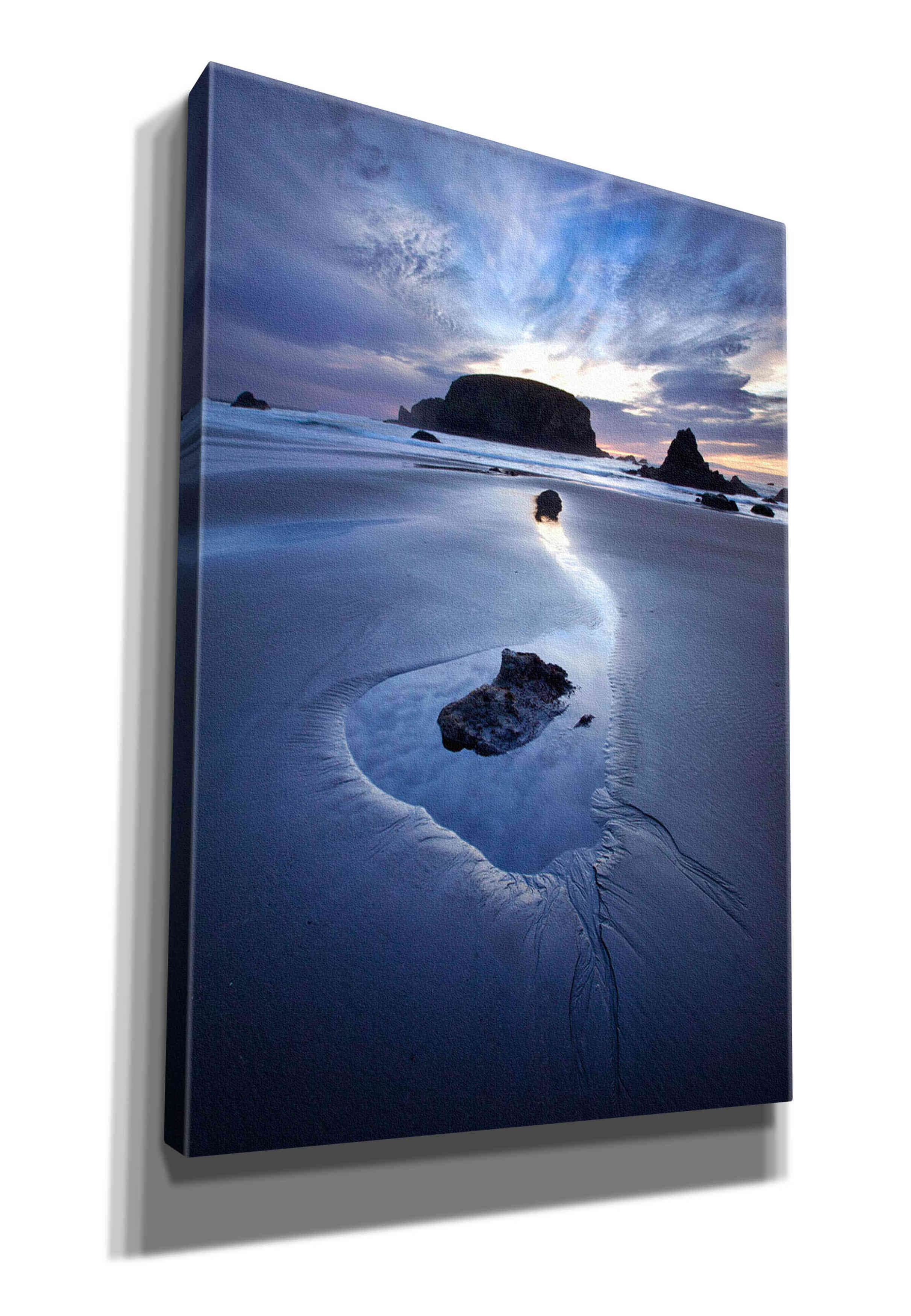 Dovecove Reflection Whale Head by Thomas Haney - Wrapped Canvas Print ...