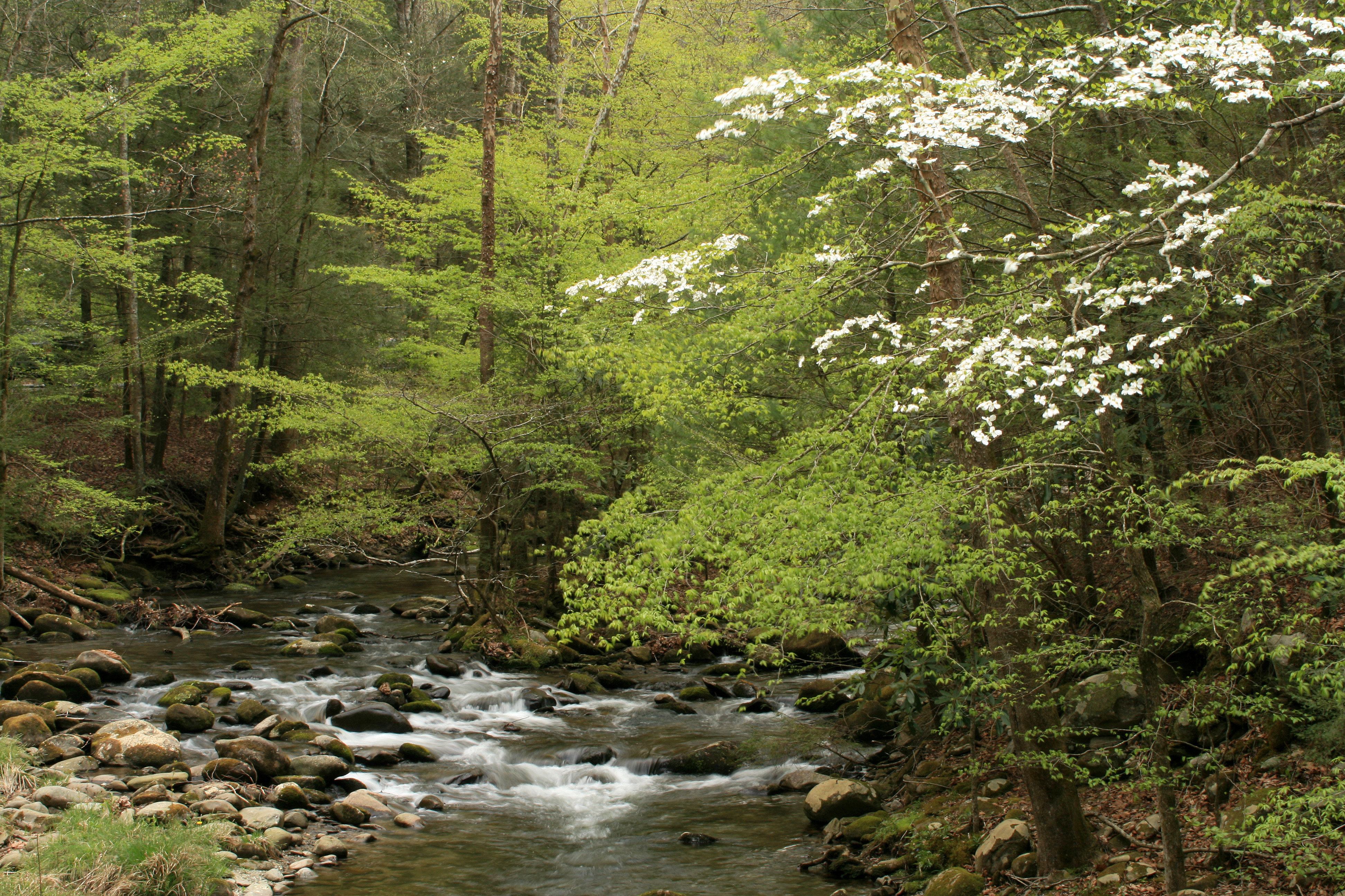 Loon Peak® Hawken Spring - Wrapped Canvas Photograph | Wayfair