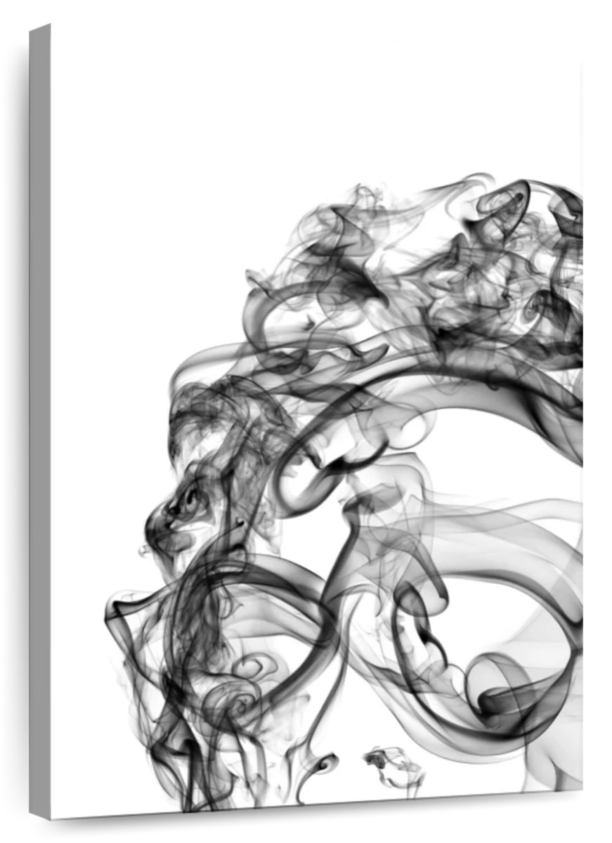 Winston Porter Michael Jackson Smoke Print - Wayfair Canada