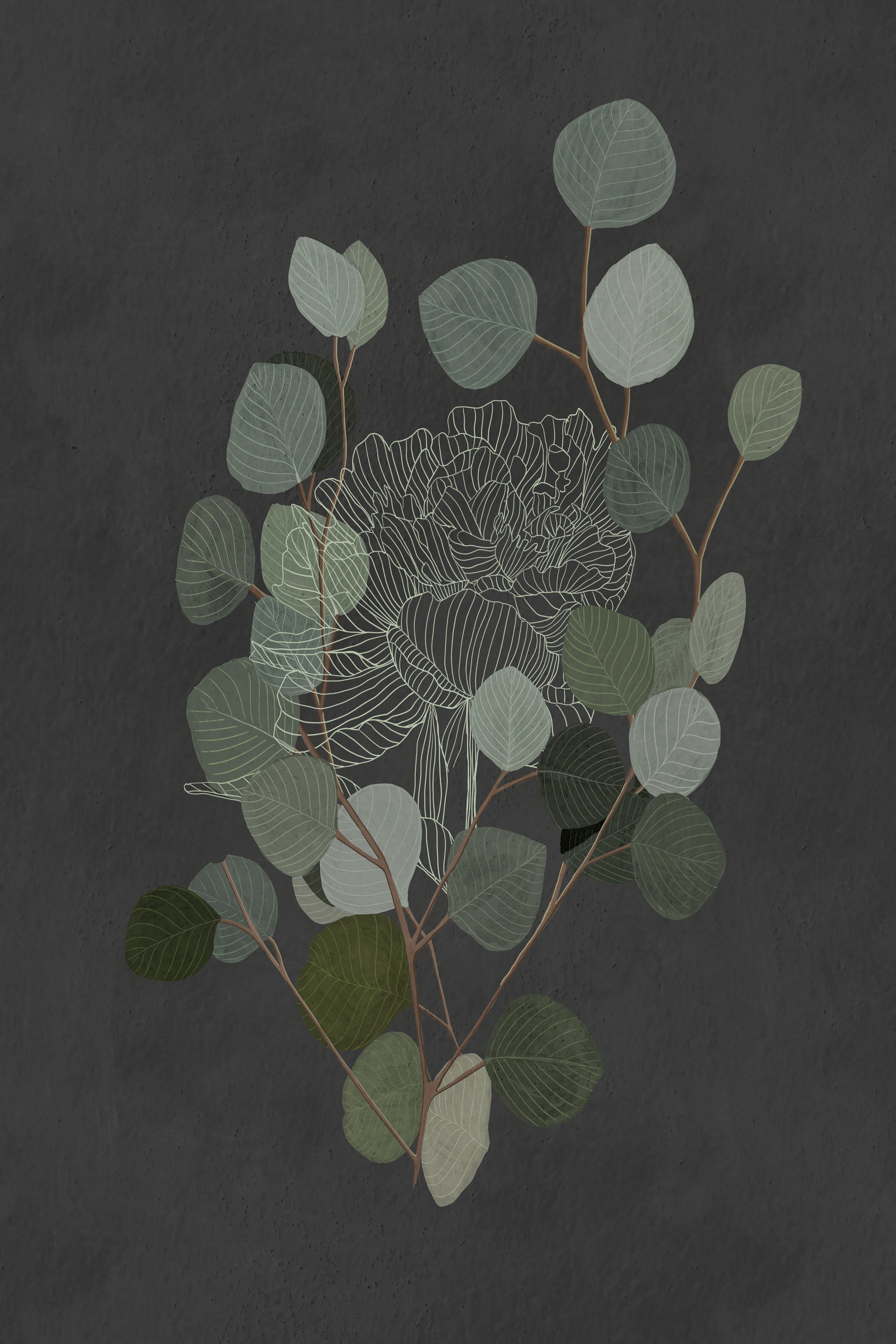 Winston Porter Eucalyptus Leaves IV On Canvas by Katie O'Shea Print ...