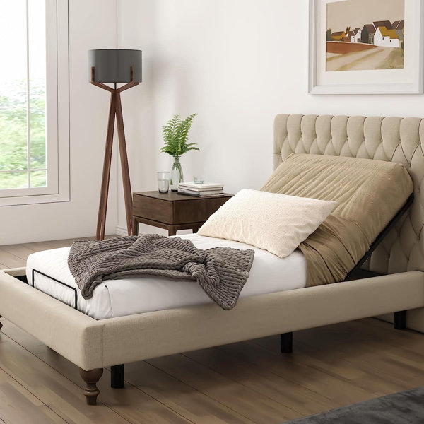 Brayden Studio Aliaha European Single (90 x 200cm) Panel Bed | Wayfair ...