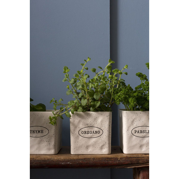 Accent Decor Aroma Handmade Ceramic Planter Box | Wayfair