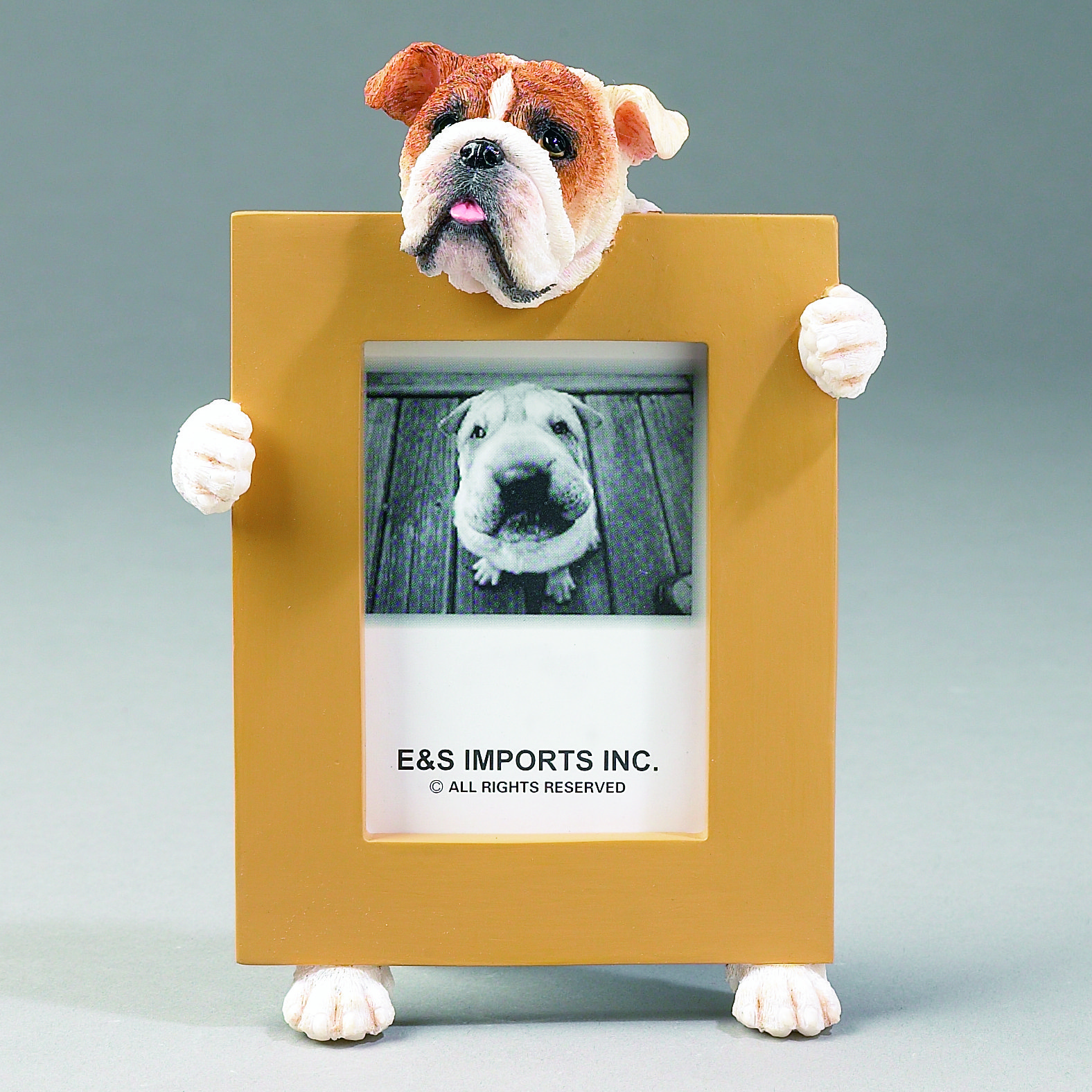 E&S Pets Bulldog Picture Frame- Holds Your Favourite Photo - Hand ...