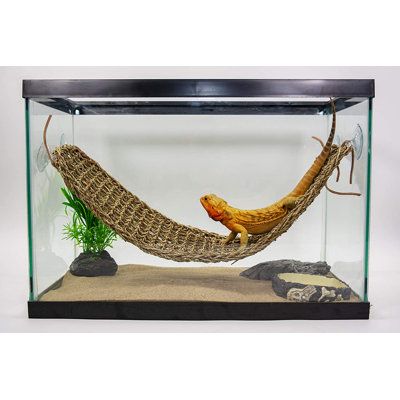 Penn Plax Reptology Extra Large Lizard Lounger | Wayfair